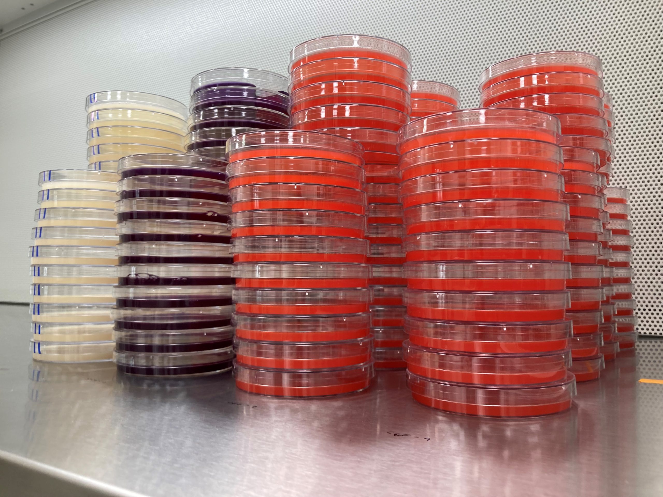 Plant Pathology Laboratory | Idaho State Department of Agriculture