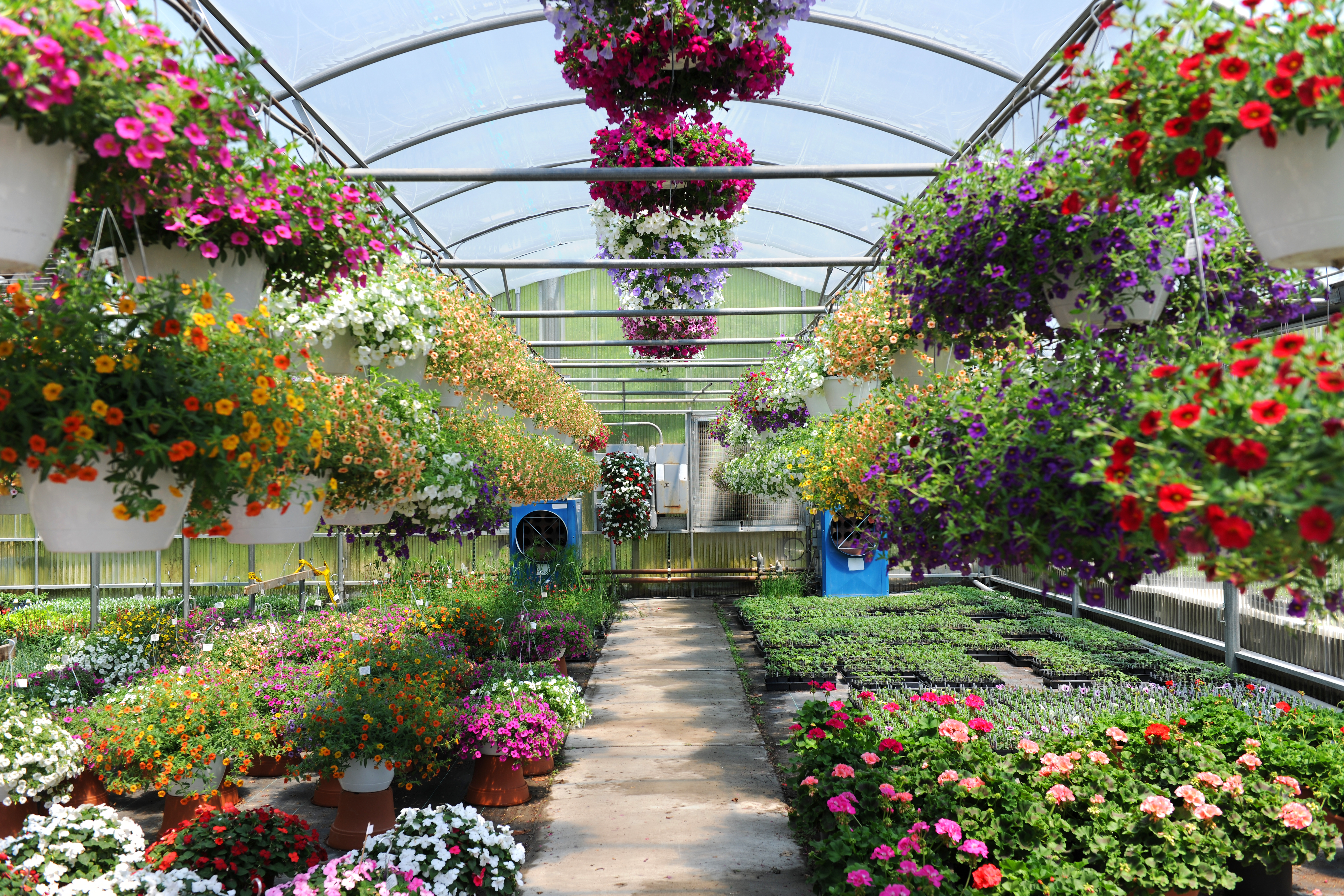 Nursery, Florist & Landscaping | Idaho State Department of Agriculture